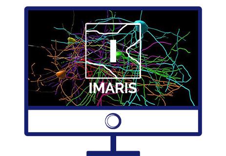 Software Packages – Imaris, Solis, SDK & GPU Express Library - Andor - Oxford Instruments